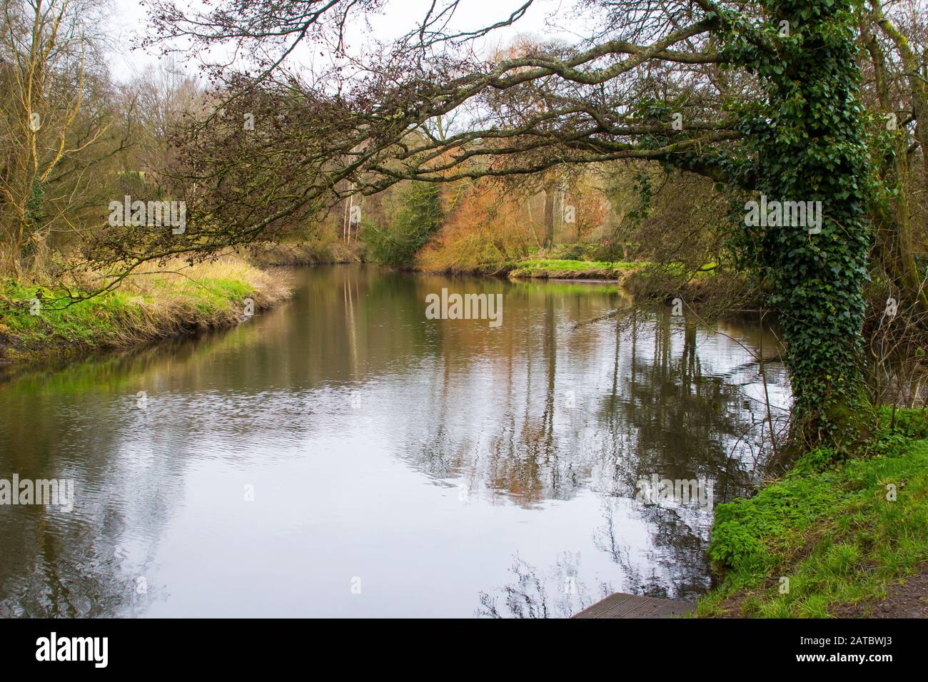The River Lagan where it flows past the Minnowburn Car Park in the ...