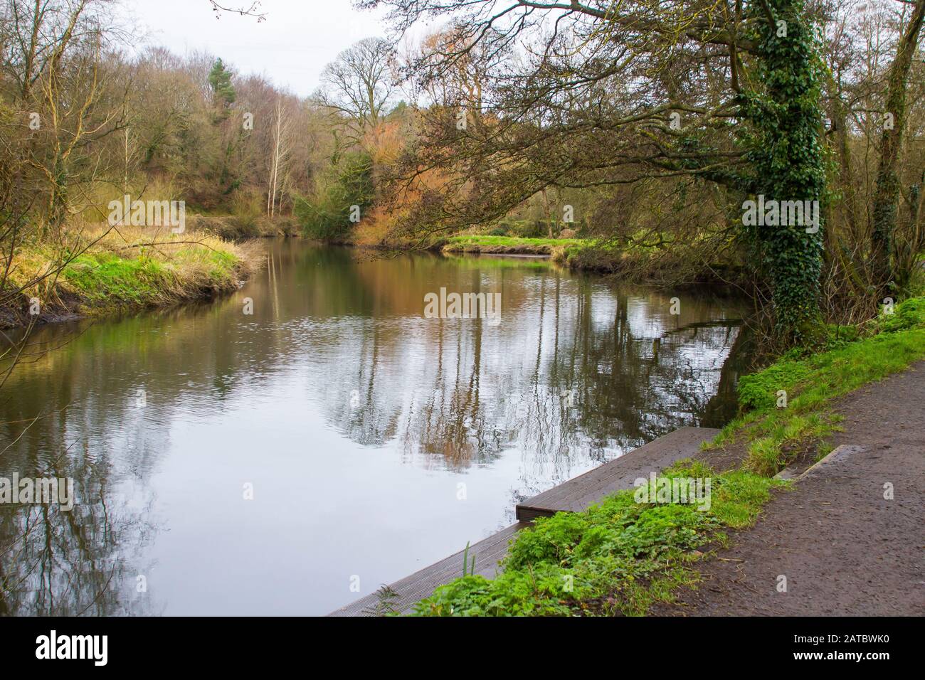 The River Lagan where it flows past the Minnowburn Car Park in the ...