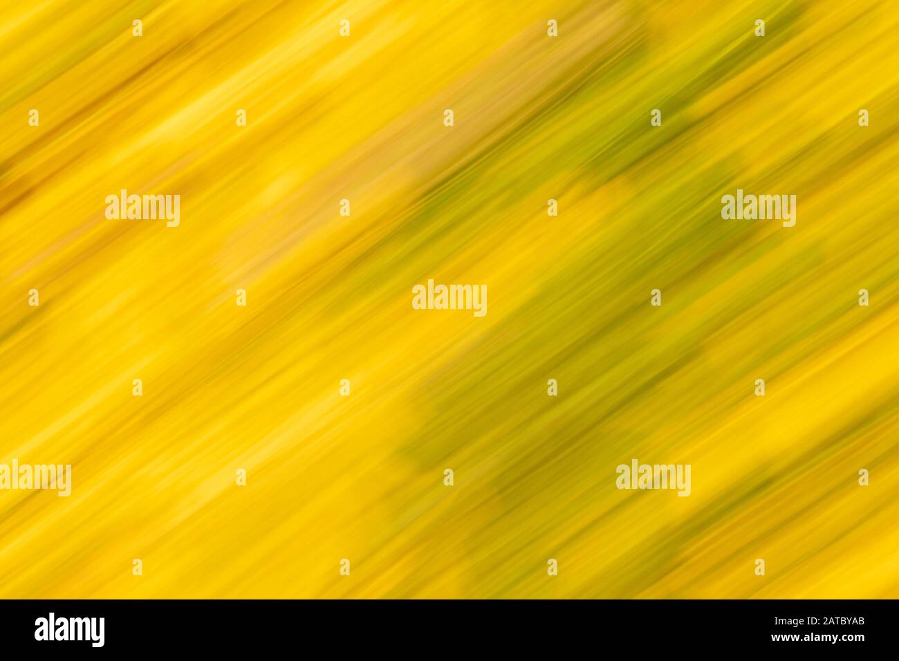 Abstract Yellow Summer Flowers in Bloom Stock Photo - Alamy