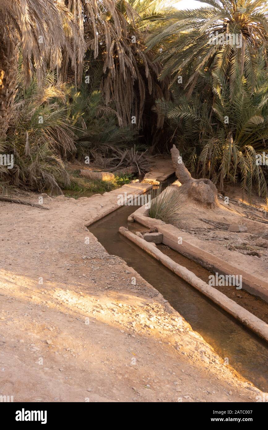 Sahara desert irrigation system hi-res stock photography and images - Alamy