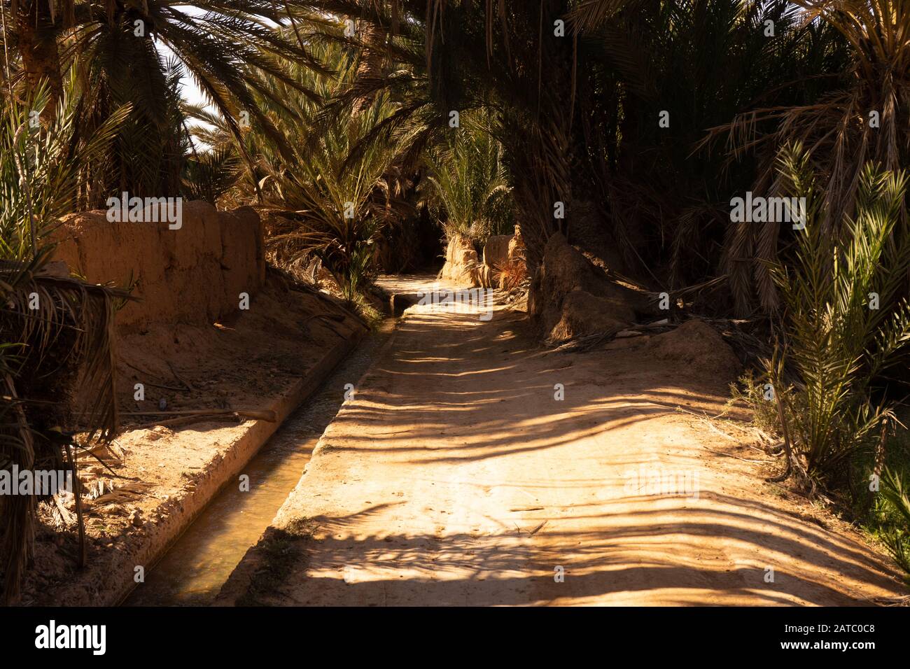 Sahara desert irrigation system hi-res stock photography and images - Alamy