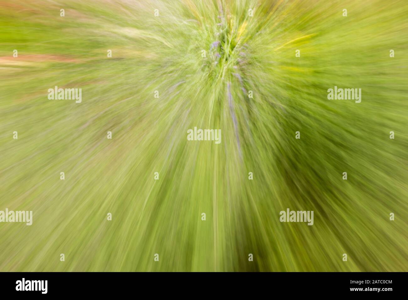 Grass movement hi-res stock photography and images - Alamy