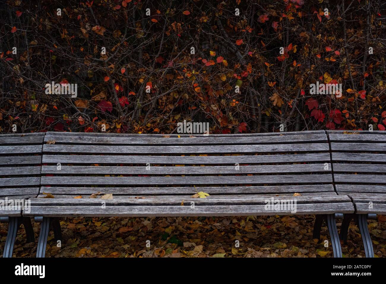 old wooden bench in the city heart of berlin germany, isolated bench in ...