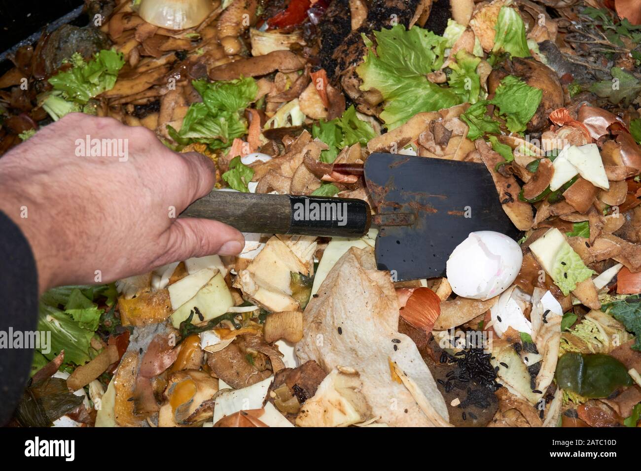 Household food waste hi-res stock photography and images - Alamy