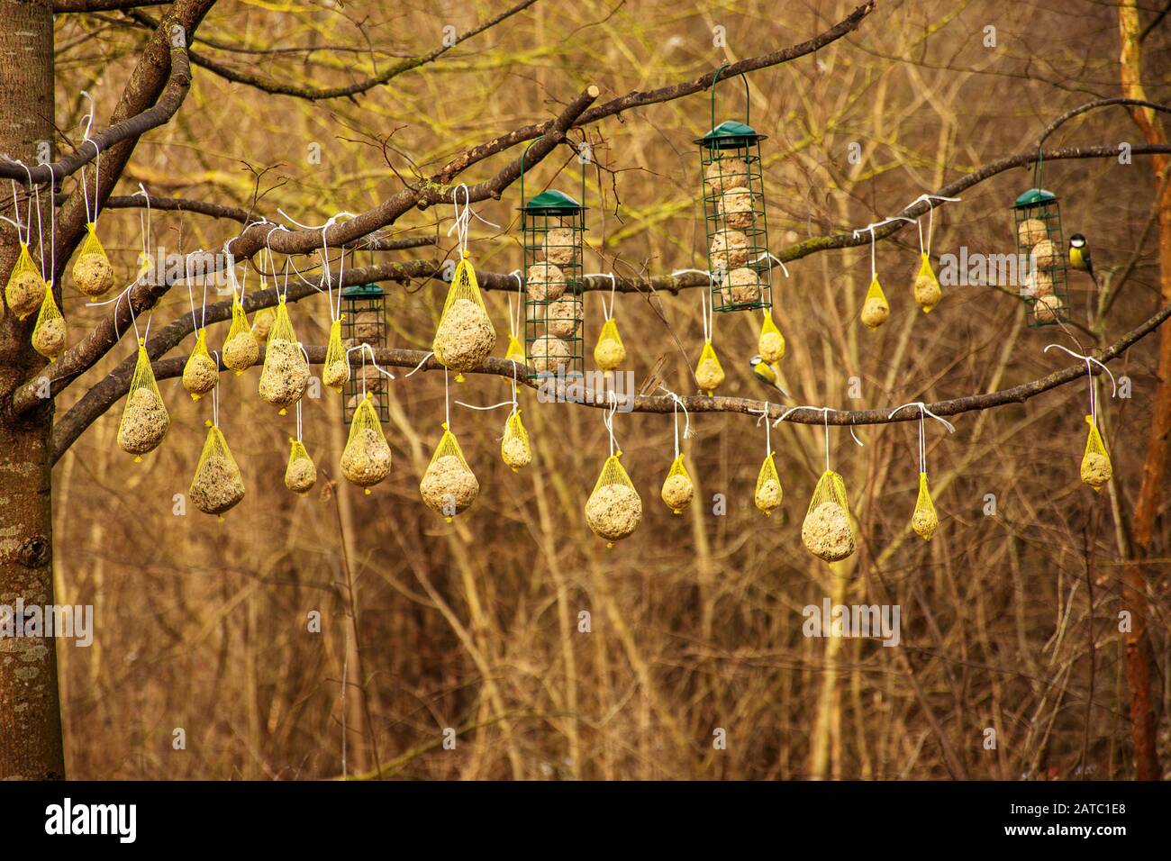 Dehner Blumenpark • Ldkr. Donau-Ries, Schwaben, Bayern, Deutschland ...