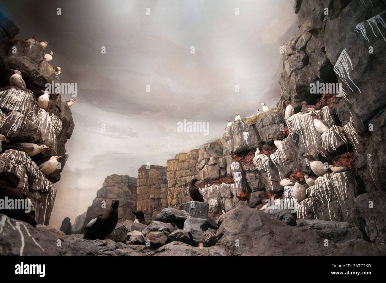 Berlin, German city, Germany. Museum fur Naturkunde, Naturkundemuseum ...