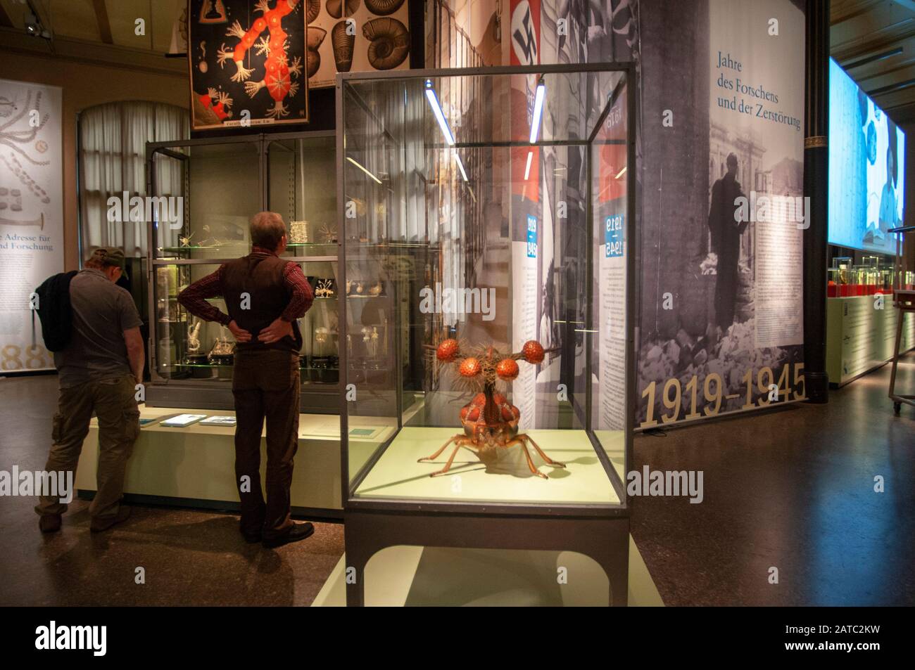 Berlin, German city, Germany. Museum fur Naturkunde, Naturkundemuseum ...