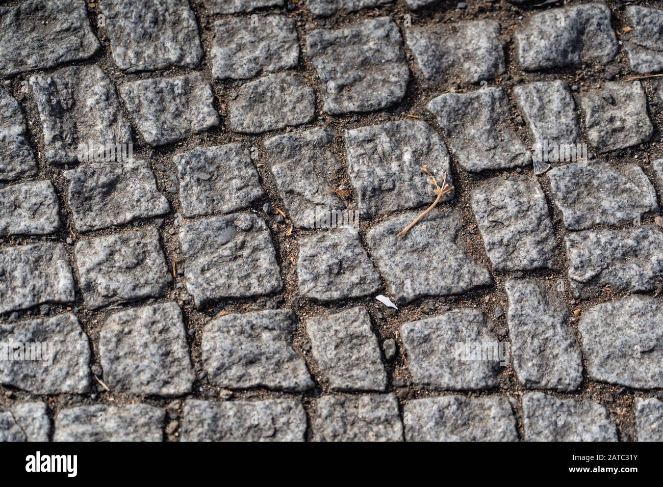 Cobblestone Path Background