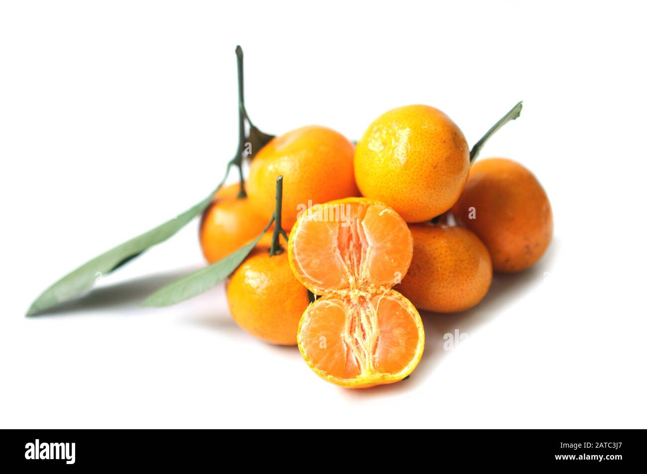 Tangerine tree green fruits Cut Out Stock Images & Pictures - Alamy
