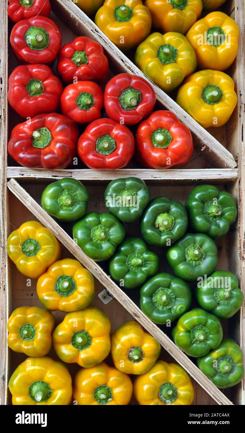 Colorful bell peppers in case at market place Stock Photo - Alamy