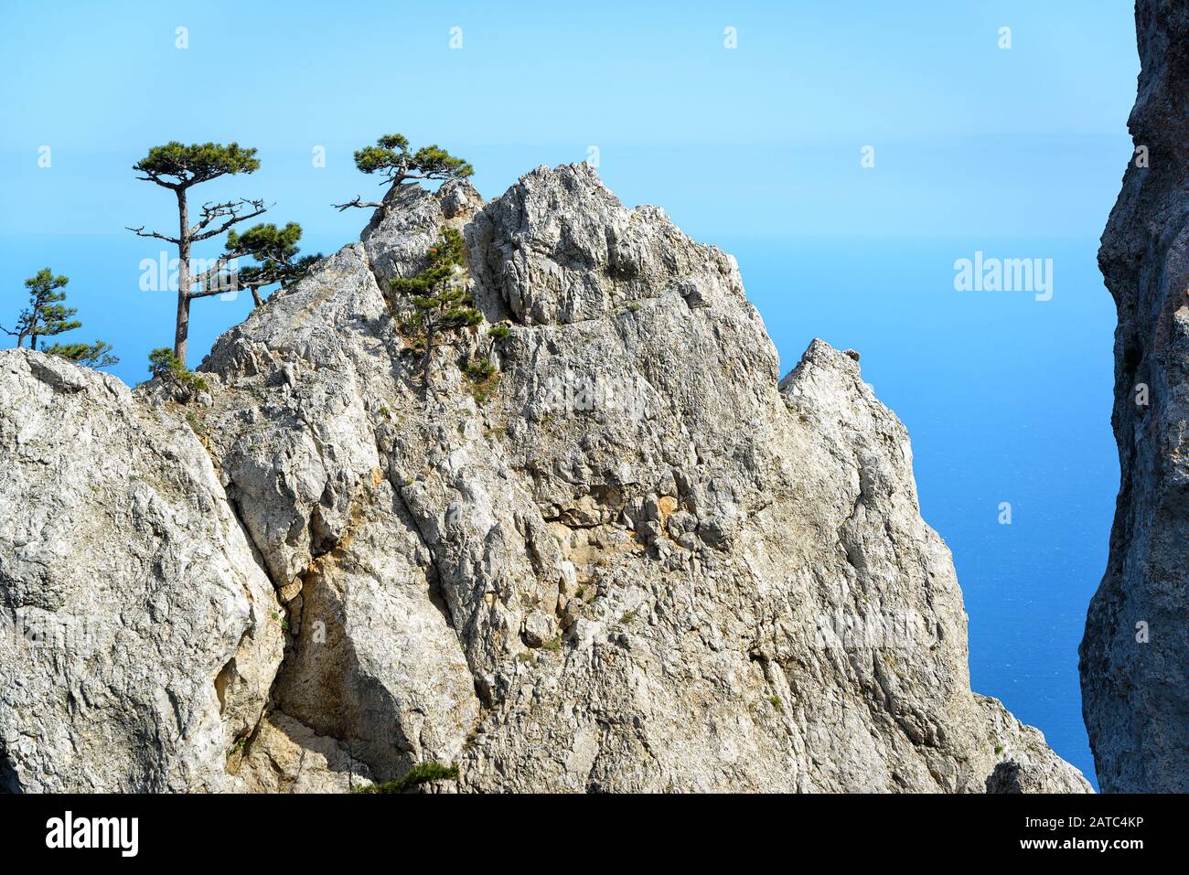 Trees on a rock in the Mount Ai-Petri. Landscape of Crimea, Russia ...