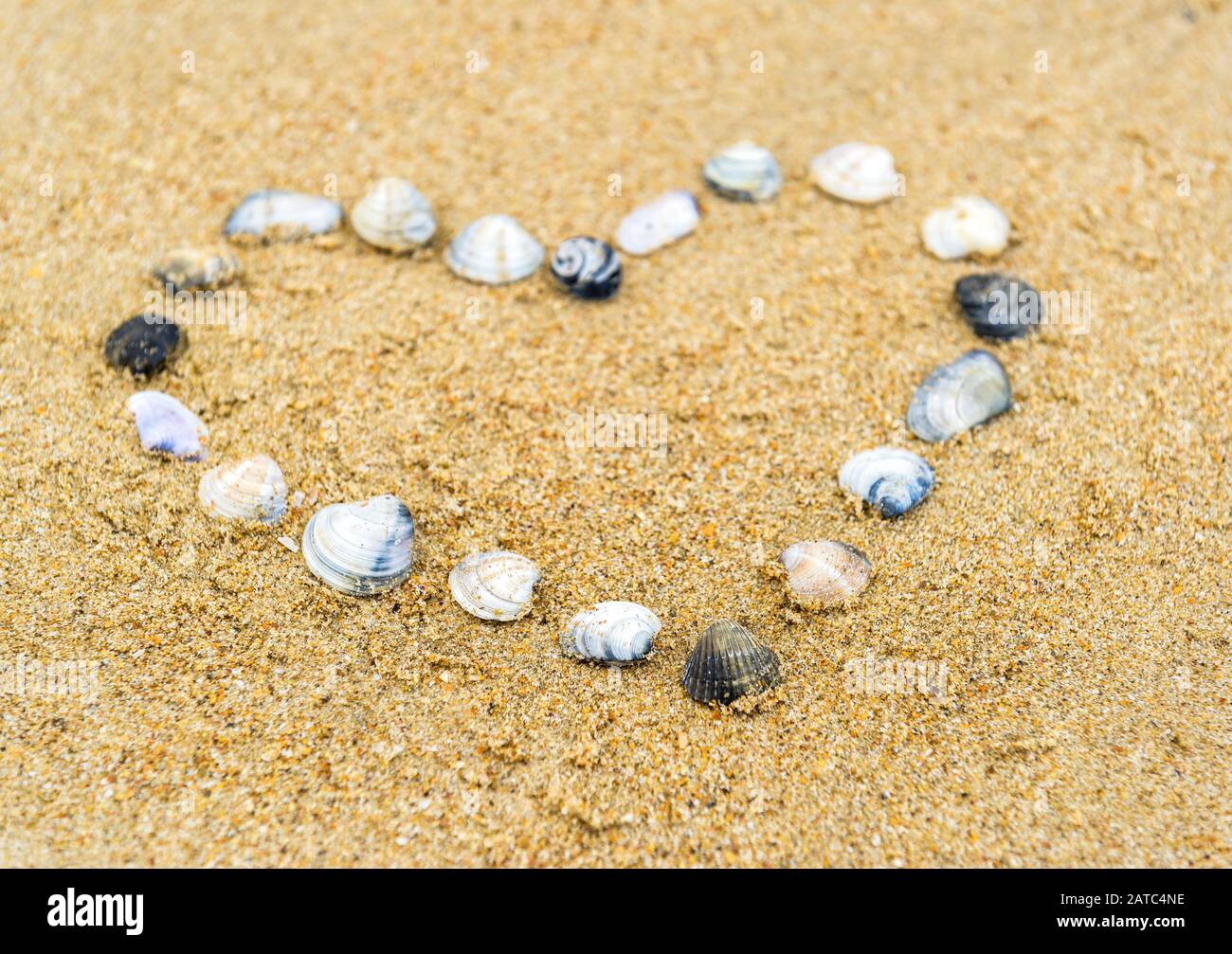 A heart built of sea shells on the sand Stock Photo - Alamy