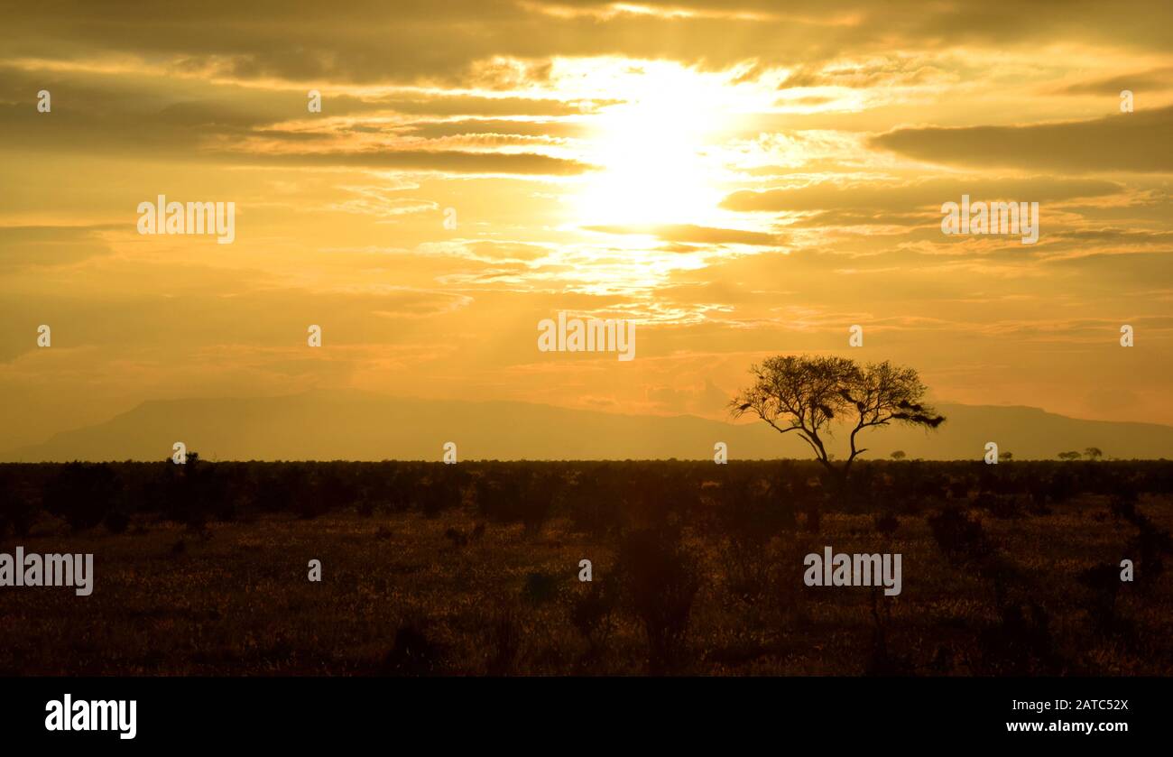 Beautiful African sunset with gorgesous bright colors Stock Photo - Alamy
