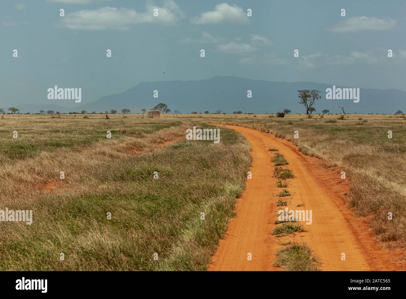 Red dry mud road in Kenya National Park (Tsavo East Stock Photo - Alamy