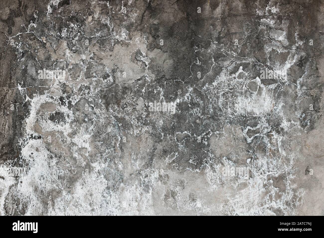 White monochrome grunge plaster background with gray cement Stock Photo ...