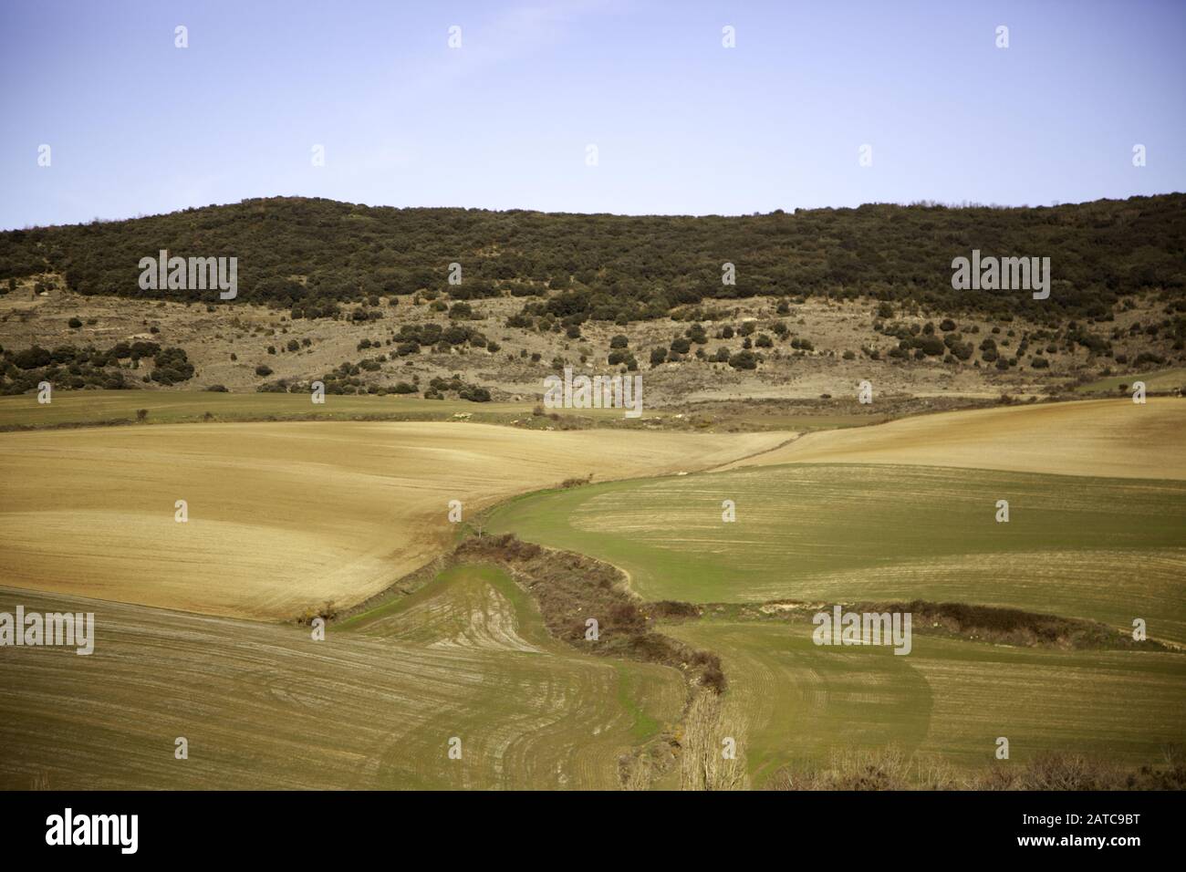 Seamless natural texture surface soil hi-res stock photography and ...