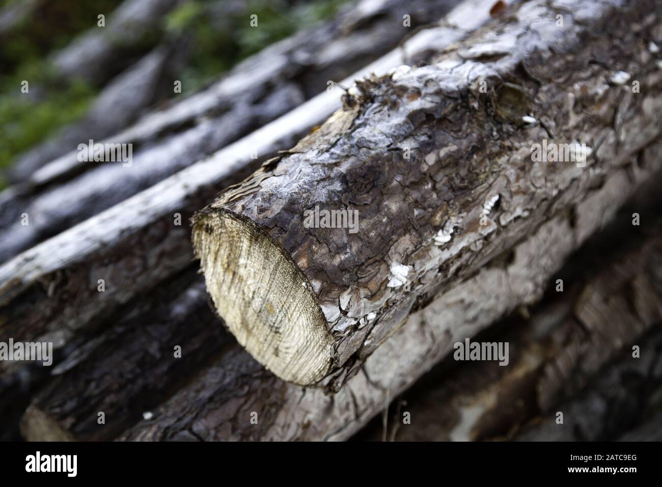 Stacked wood logs for firewood, nature and recycling Stock Photo - Alamy