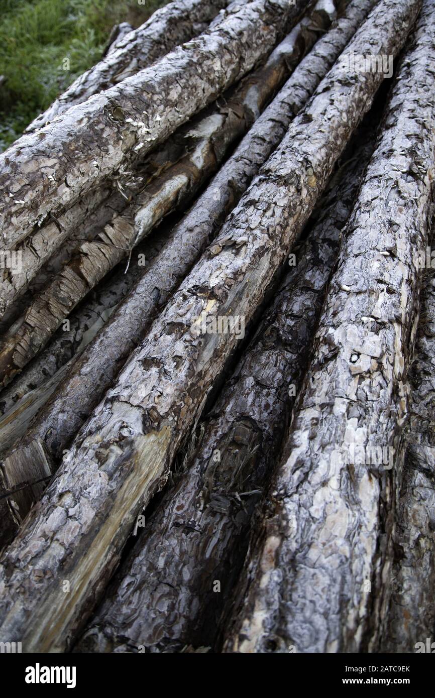 Stacked wood logs for firewood, nature and recycling Stock Photo - Alamy