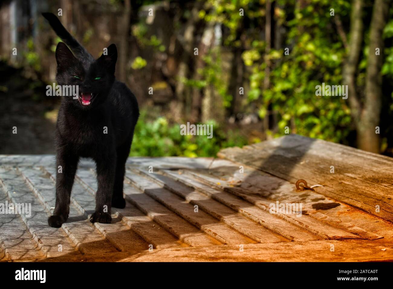 Hellish baby hi-res stock photography and images - Alamy