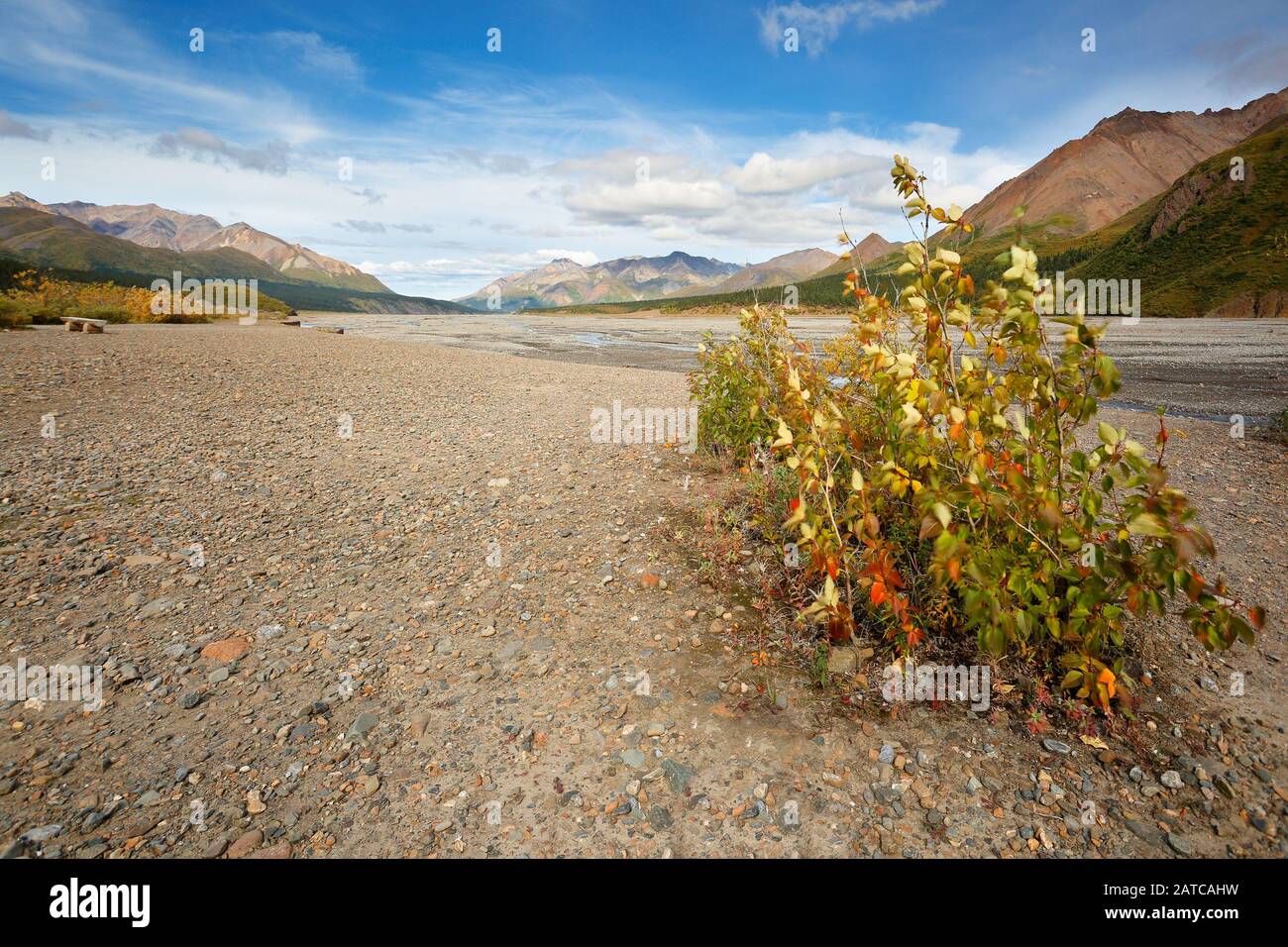 Toklat river rest stop inside Denali National Park. Alaska Stock Photo ...