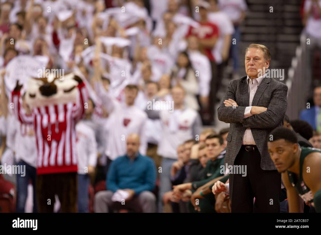 Madison, WI, USA. 1st Feb, 2020. Michigan State head coach Tom Izzo ...