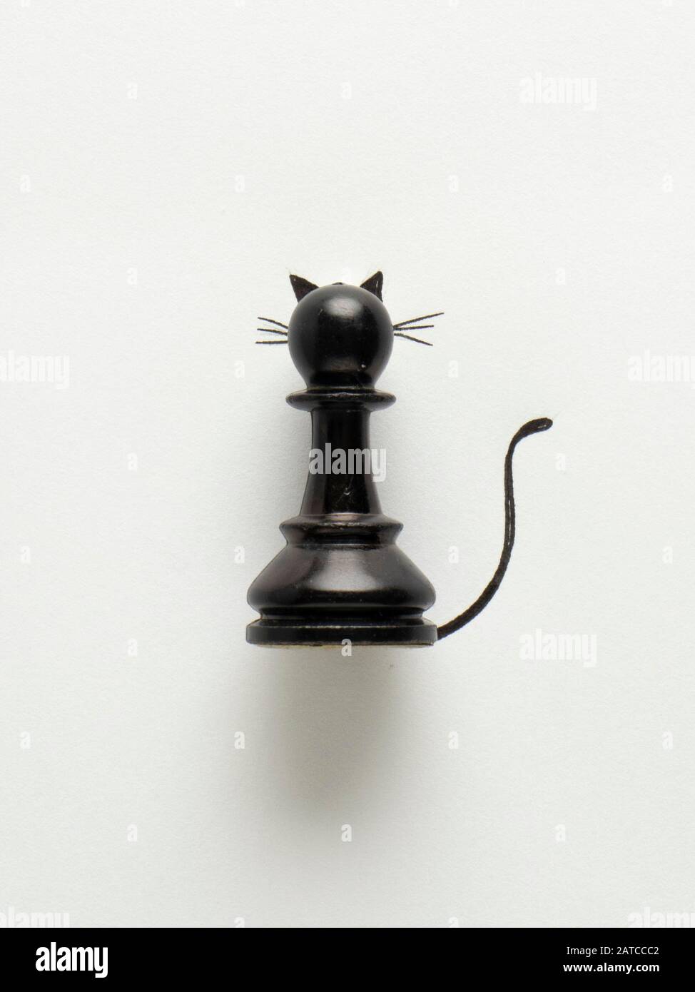 Conceptual portrait of a cat Stock Photo - Alamy Conceptual portrait of a cat Stock Photo - Alamy