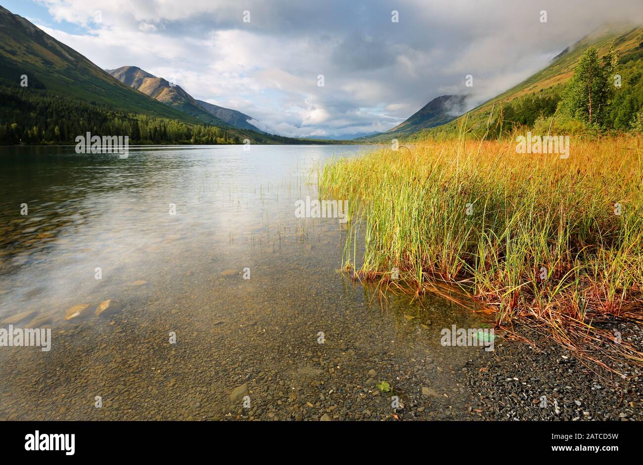 Beautiful sunrise at Kenai River, Alaska, USA. The Kenai River is the ...
