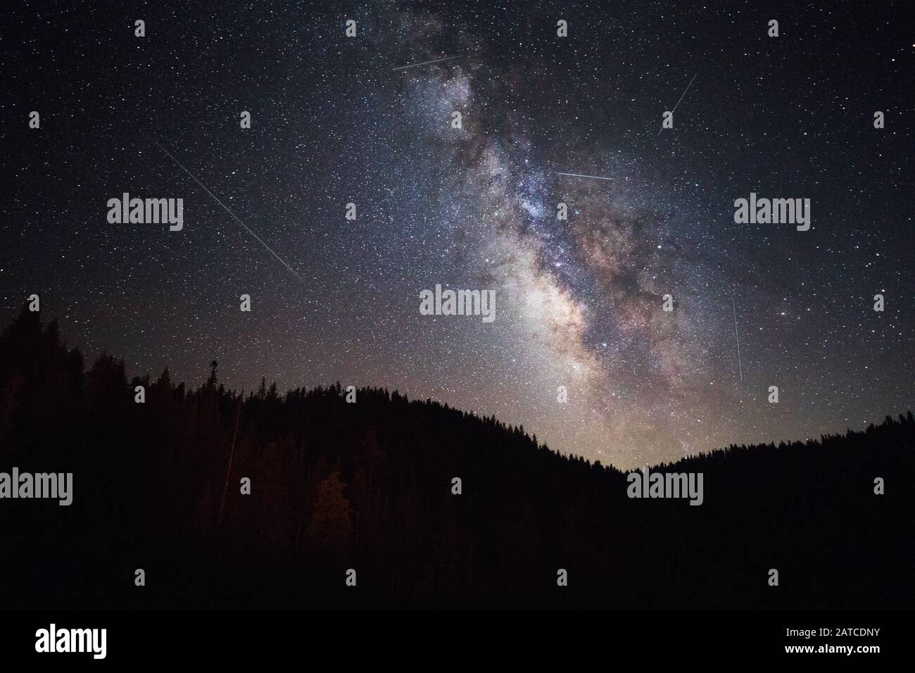 Milky Way and Shooting Stars Above Forest, Muir Grove, Sequoia National ...