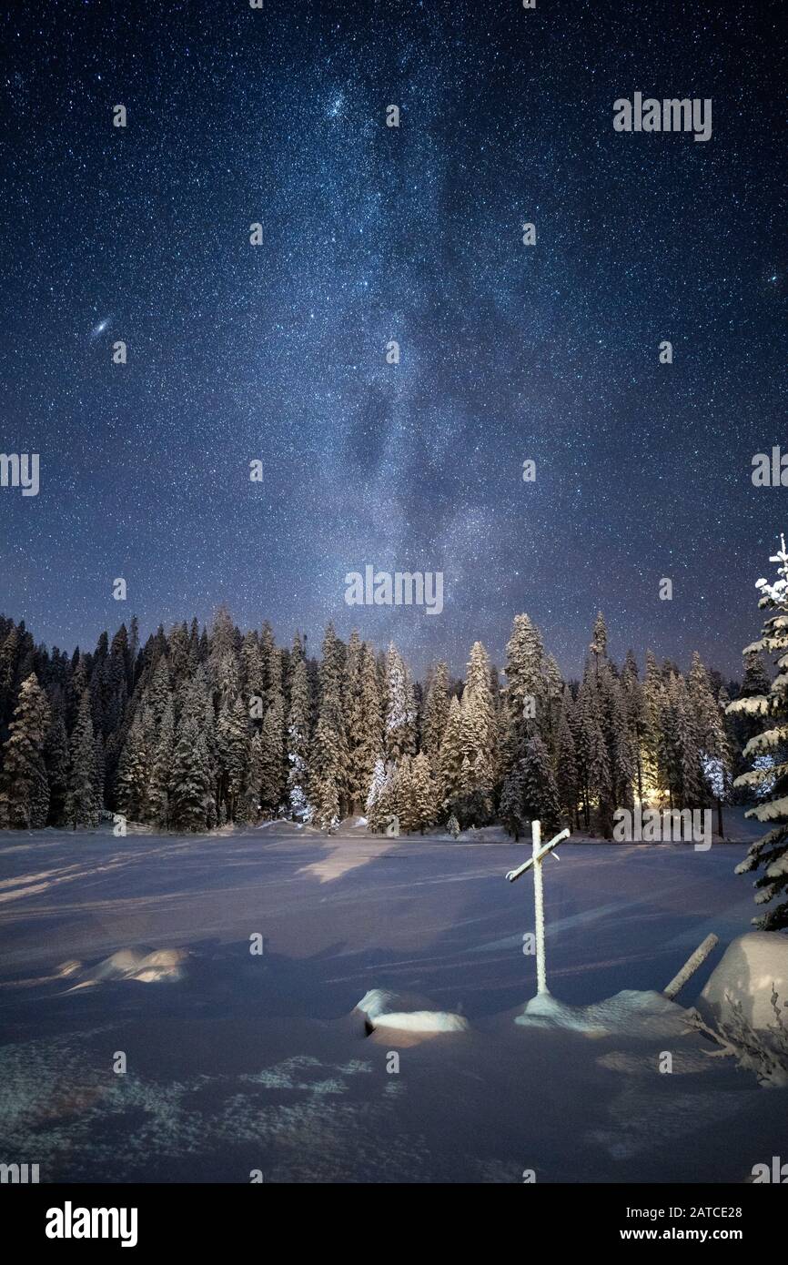 Stars Over Snow Covered Alpine Forest and Cross, Sequoia National Park ...