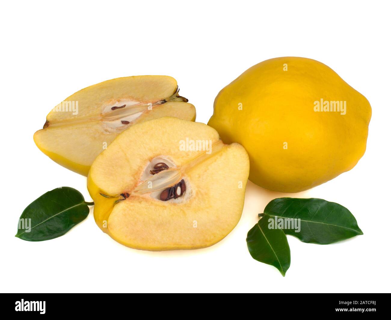 Fresh yellow quinces on white Stock Photo - Alamy
