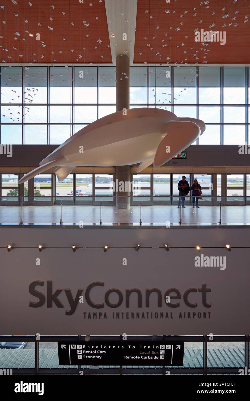Tampa international airport terminal hi-res stock photography and ...