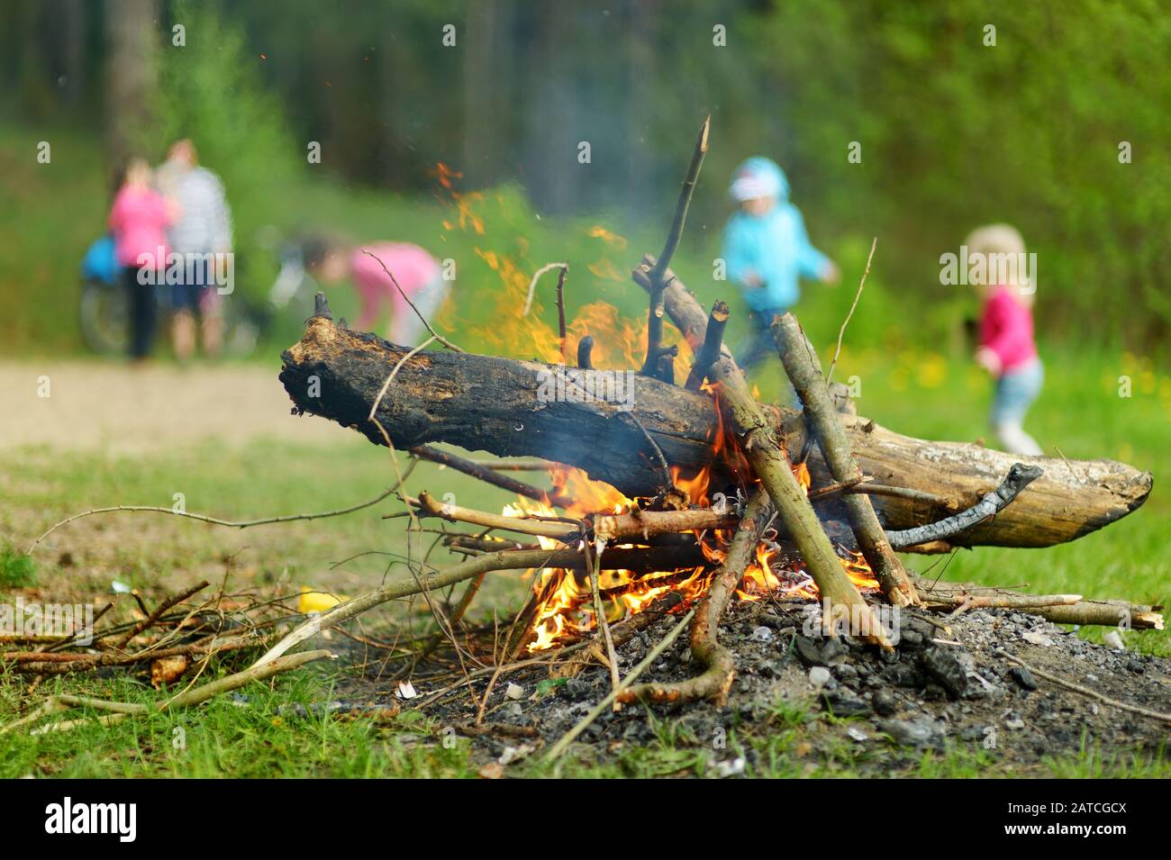 Forest bonfire. Having fun at a camp site with family and friends. Fun ...