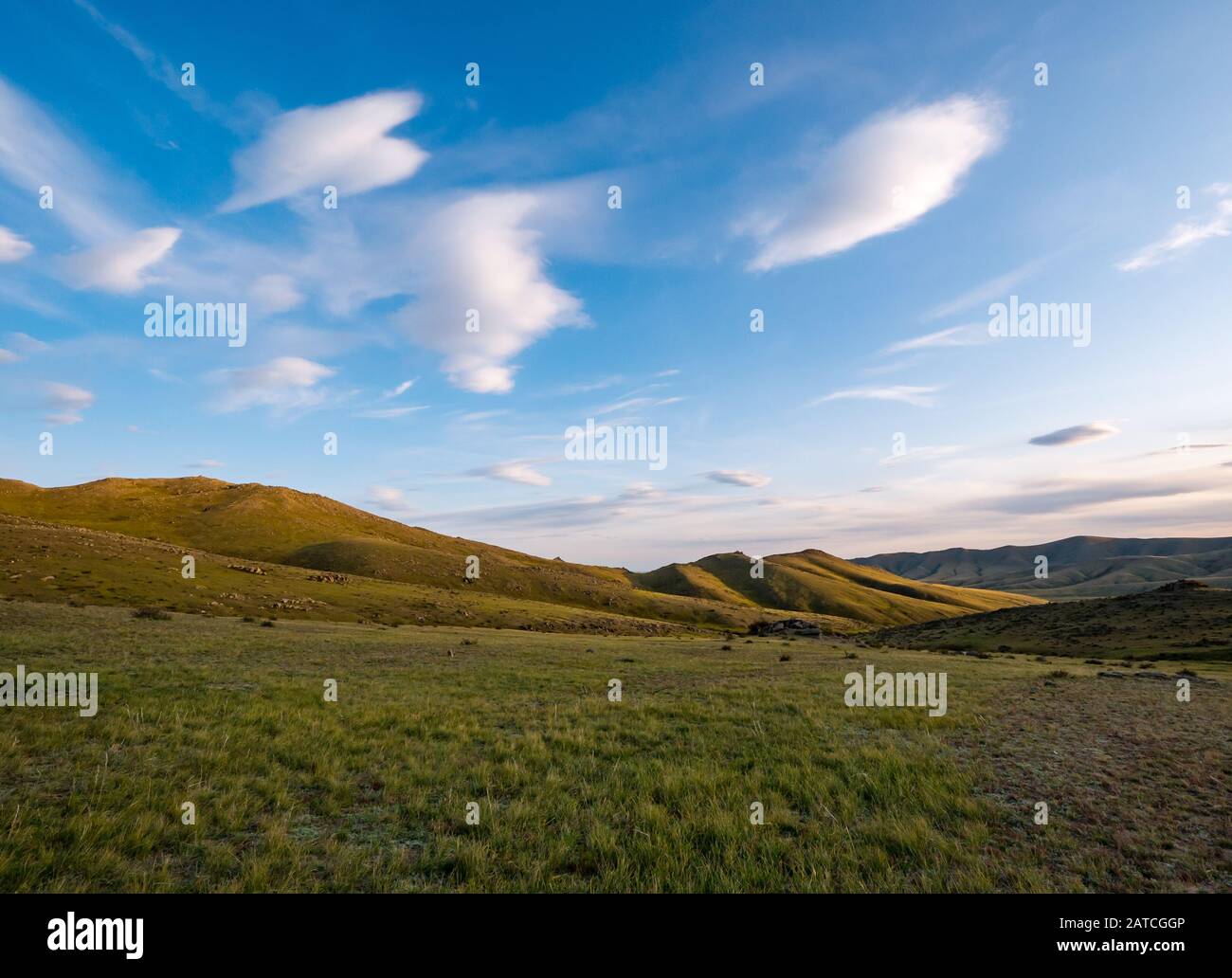 Grassland national park hi-res stock photography and images - Alamy