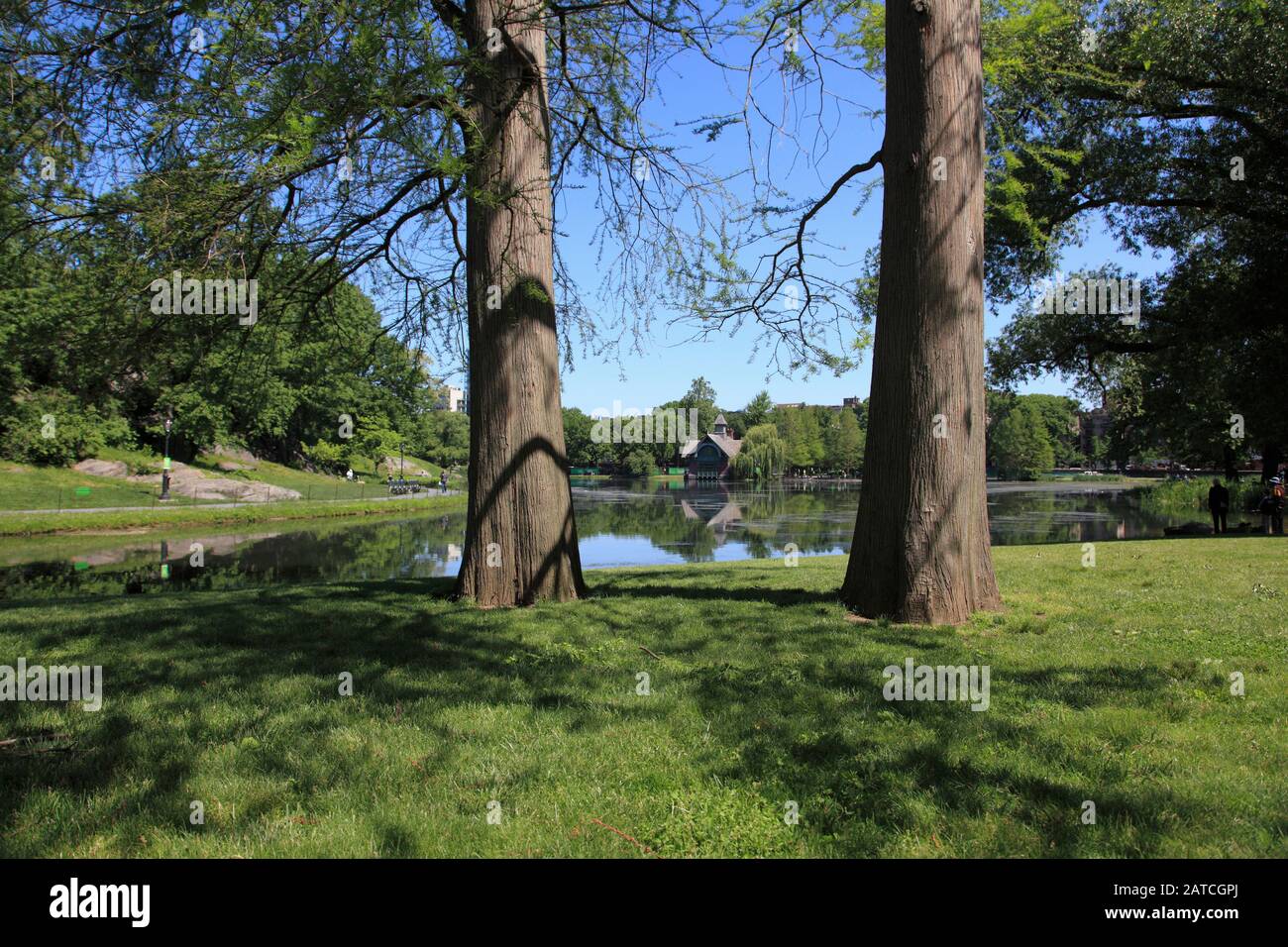 Harlem Meer, Central Park, Manhattan, New York City, USA Stock Photo ...