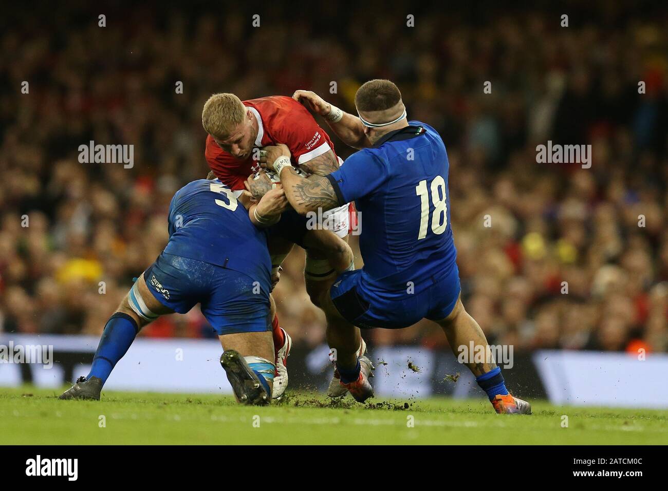 Niccolo cannone italy rugby hi-res stock photography and images - Alamy