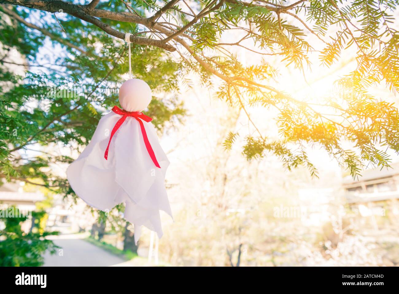 Teru Teru Bozu. Japanese Rain Doll hanging on Sakura tree to pray for ...