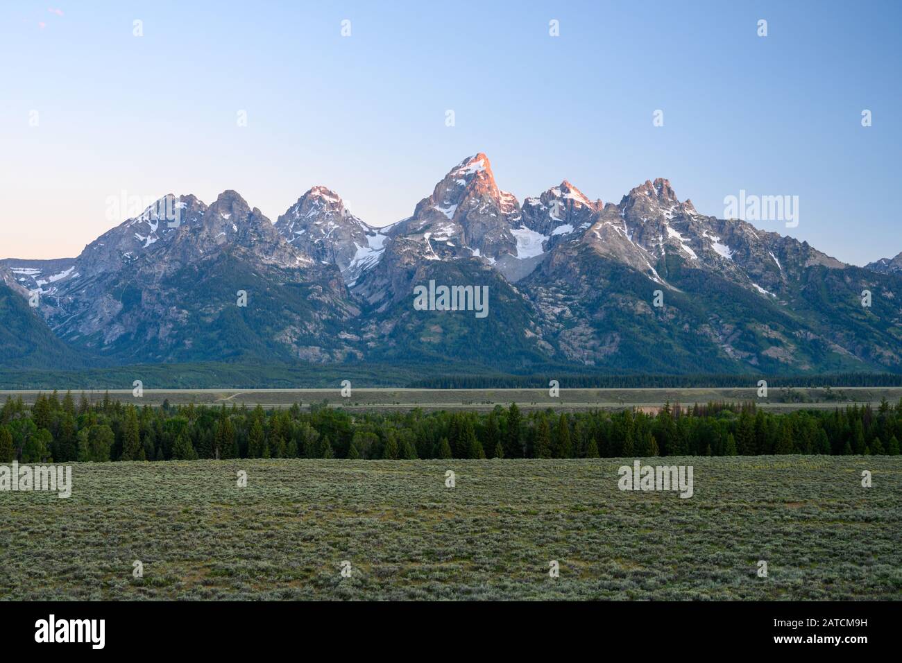 Willow trees grand teton national park hi-res stock photography and ...