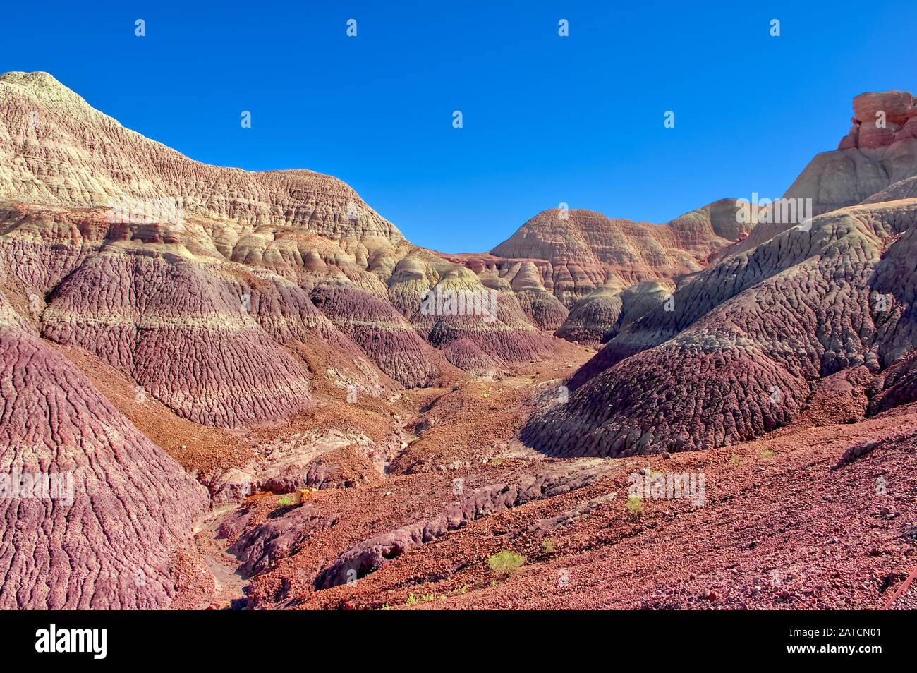 The purple sands of eroding sandstone in Arizona's Petrified Forest ...