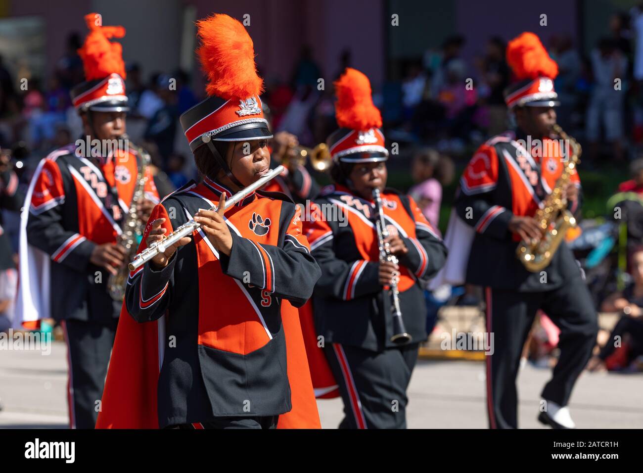 Tiger marching band hi-res stock photography and images - Alamy