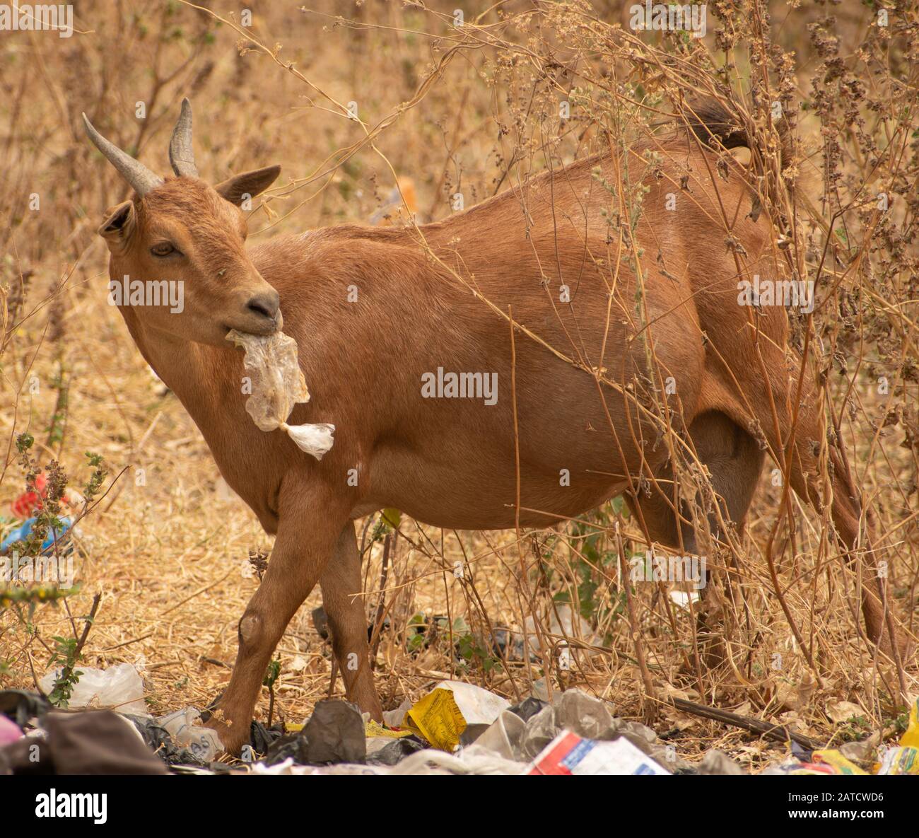 Lteftover hi-res stock photography and images - Alamy