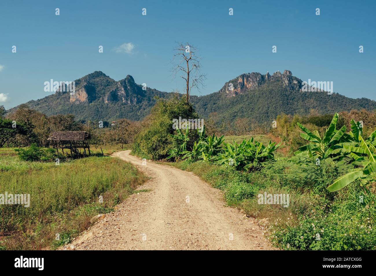 Rural landscape with country road in Northern Thailand Stock Photo - Alamy