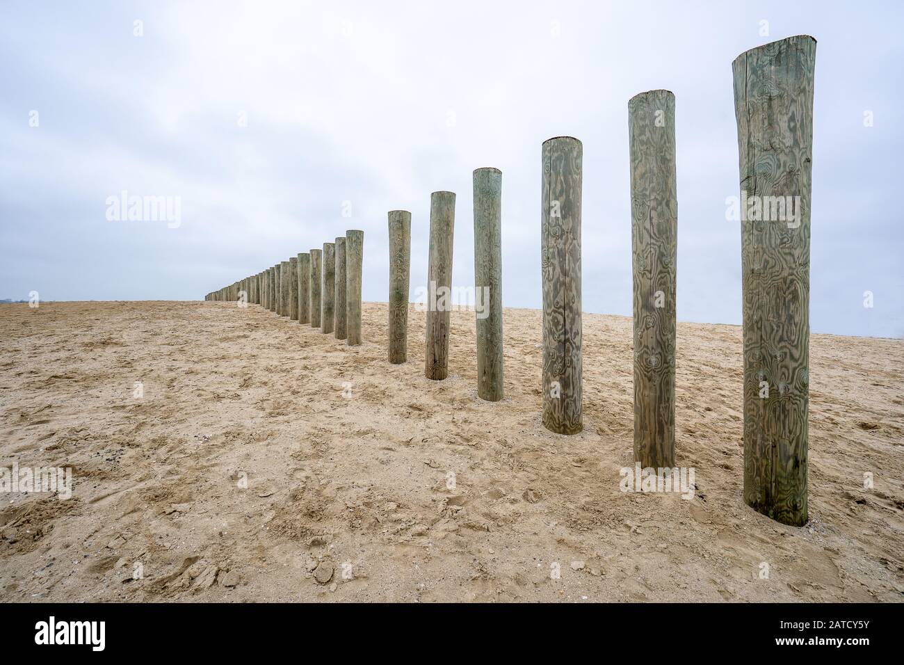 Low angle shot of wooden breakwater poles on a beach sand Stock Photo ...