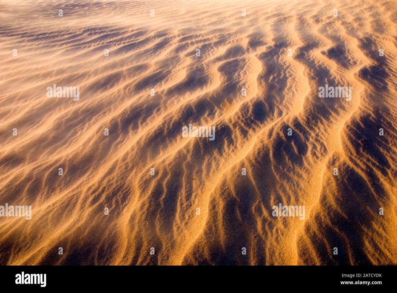 Beautiful shot of golden desert sand ripple patterns in a desert Stock ...