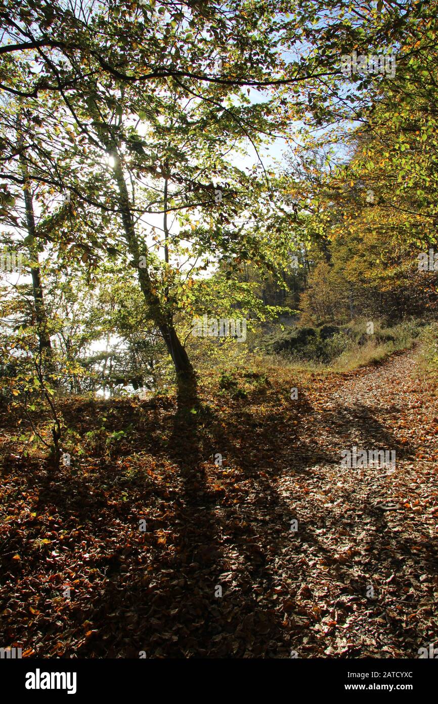 Trelde naes hi-res stock photography and images - Alamy