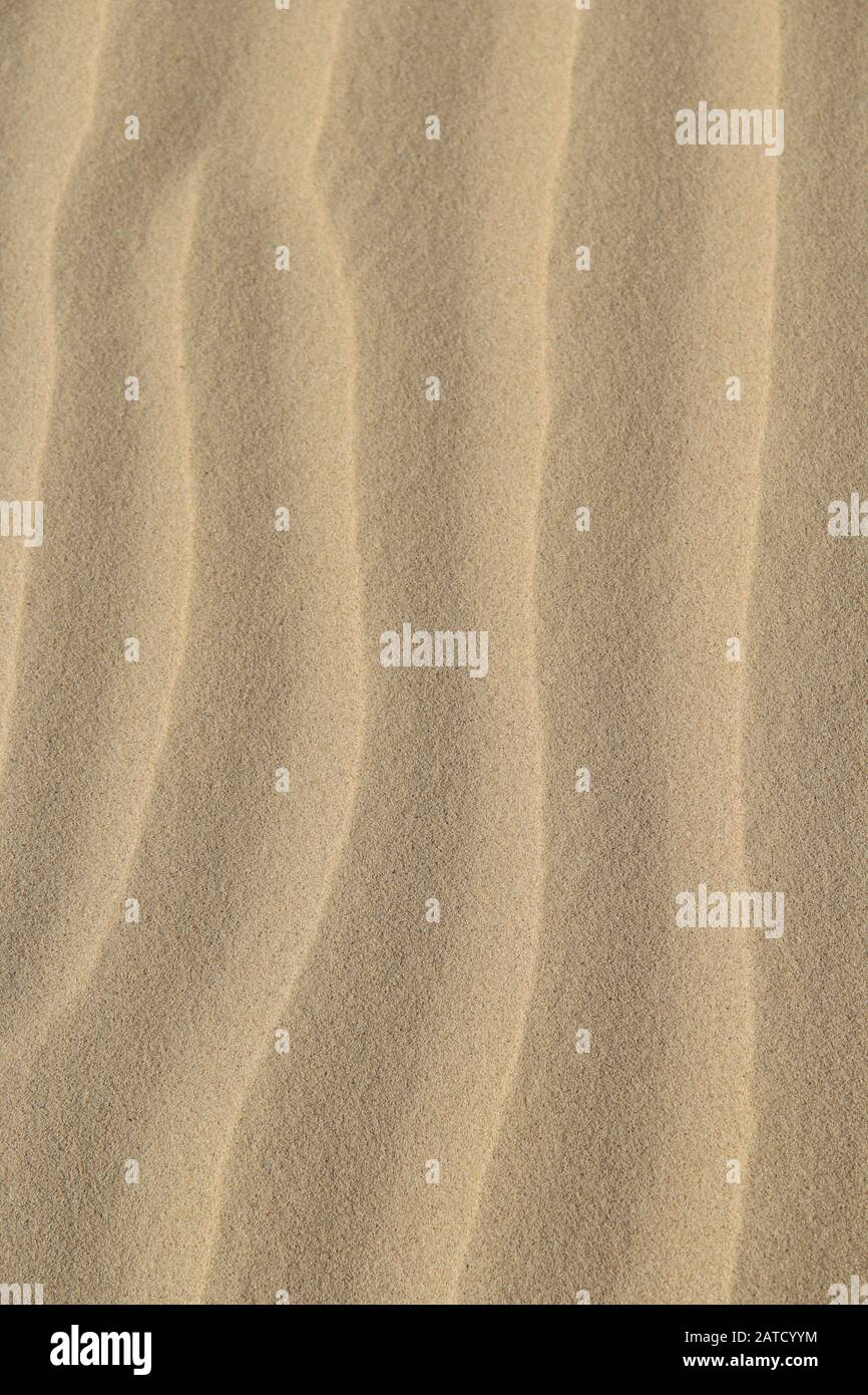 Vertical closuep shot of a sand texture - perfect for a cool vertical ...