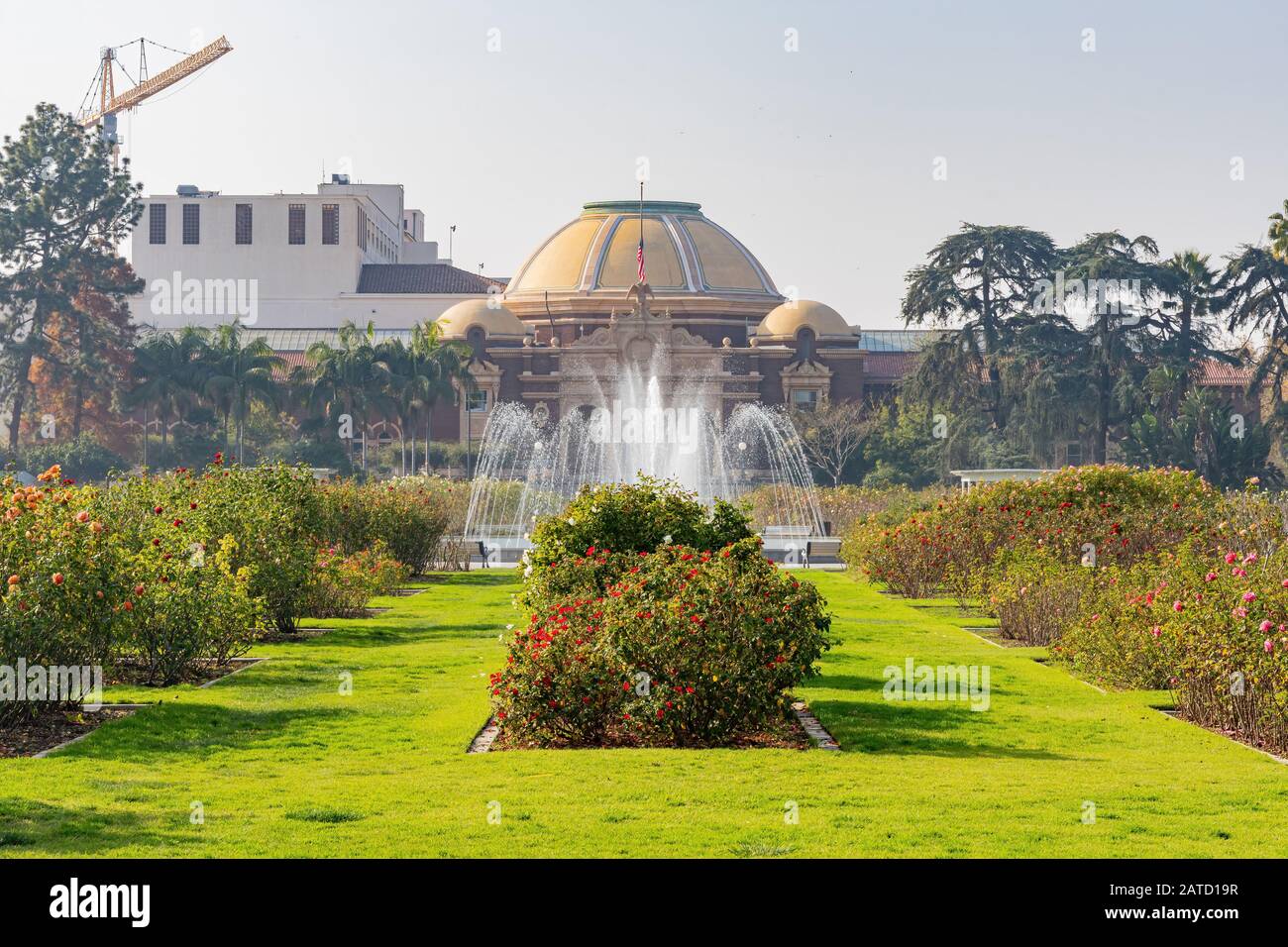 Afternoon sunny view of Exposition Park Rose Garden at Los Angeles ...