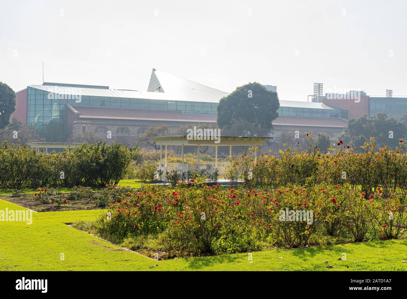 Afternoon sunny view of Exposition Park Rose Garden at Los Angeles ...