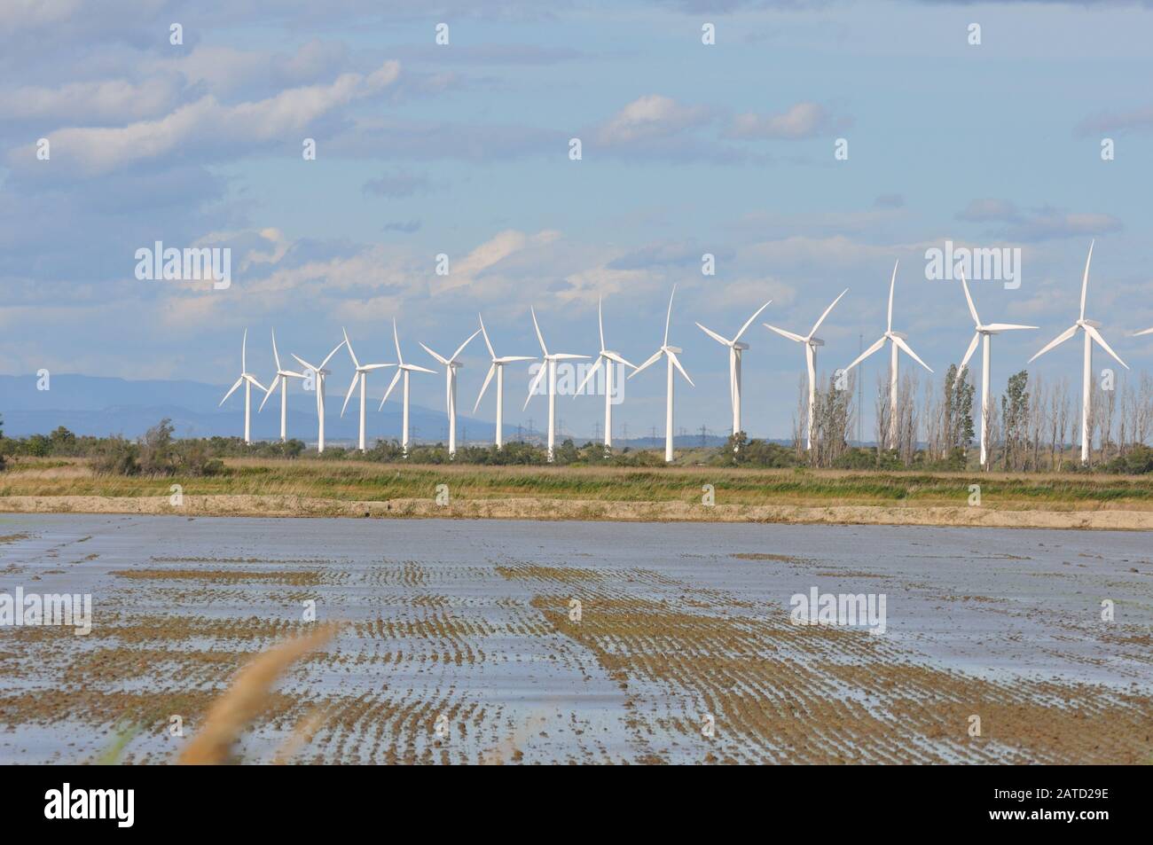 landscape filled with wind turbine in the Camargue, France. new ...
