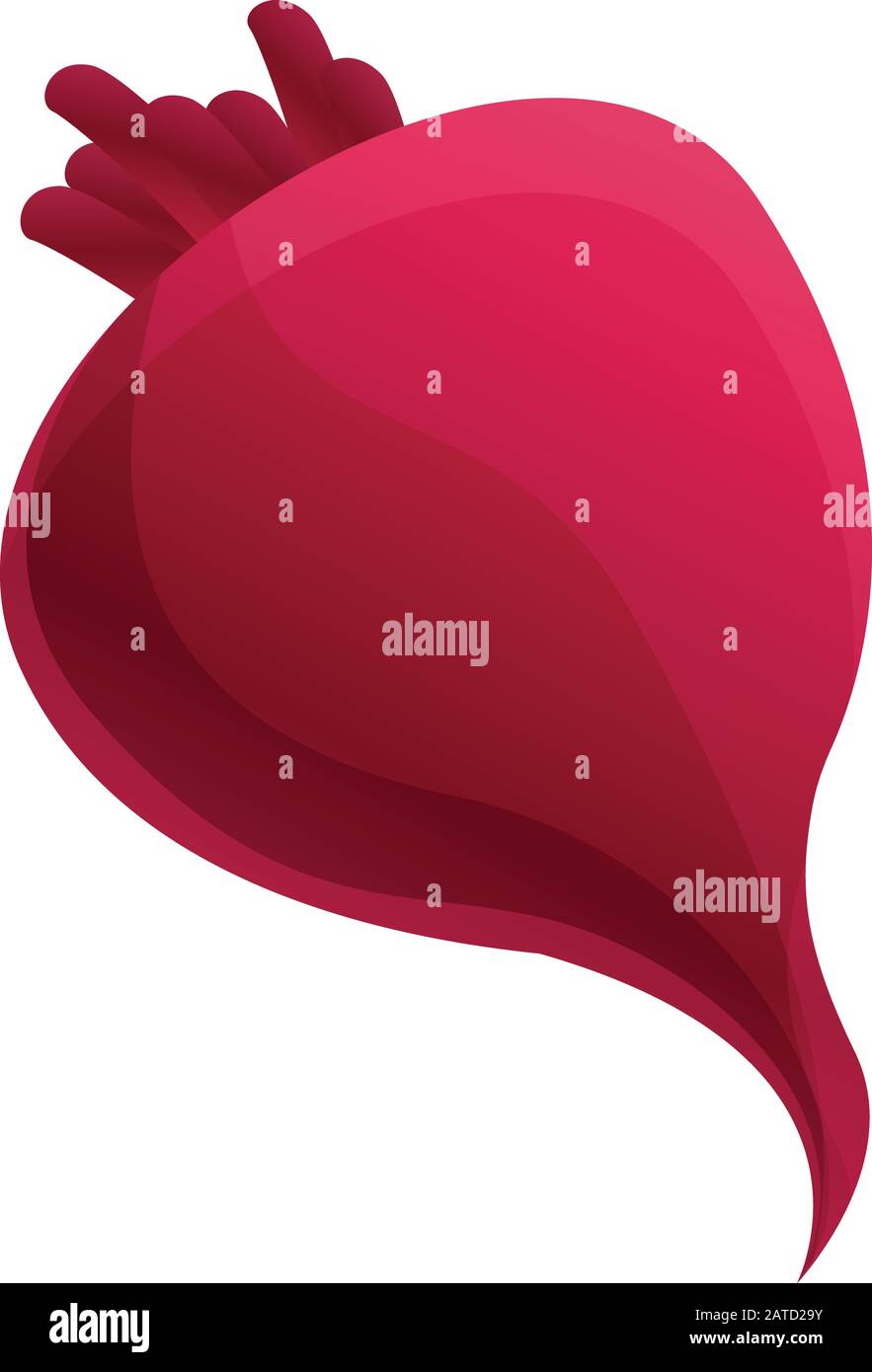 Vegetable beet icon. Cartoon of vegetable beet vector icon for web ...