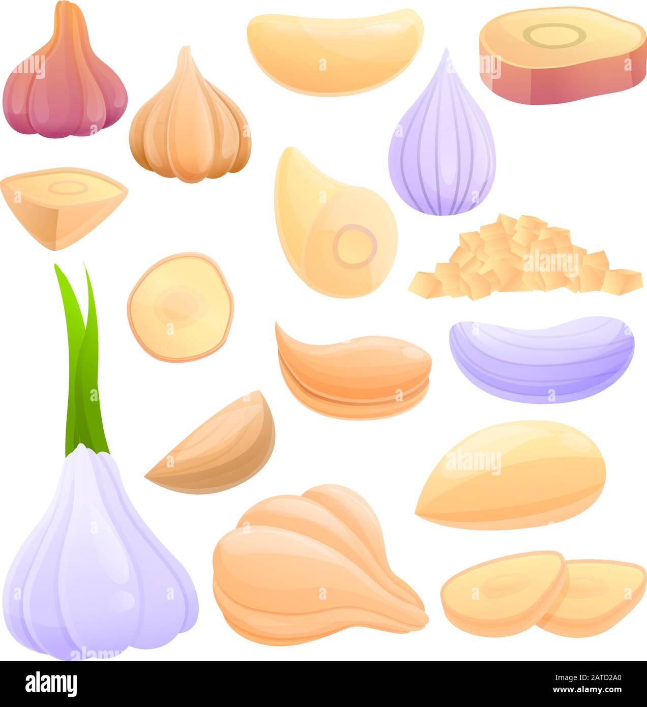 Garlic icons set. Cartoon set of garlic vector icons for web design ...
